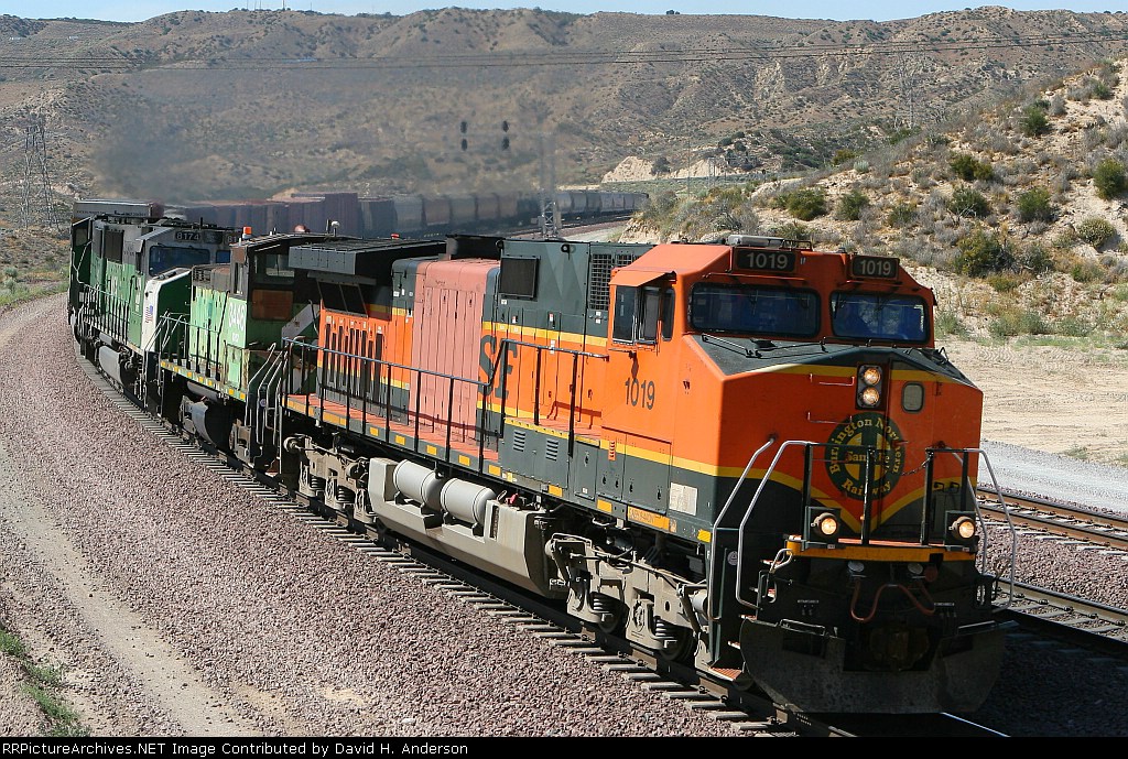 BNSF 1019